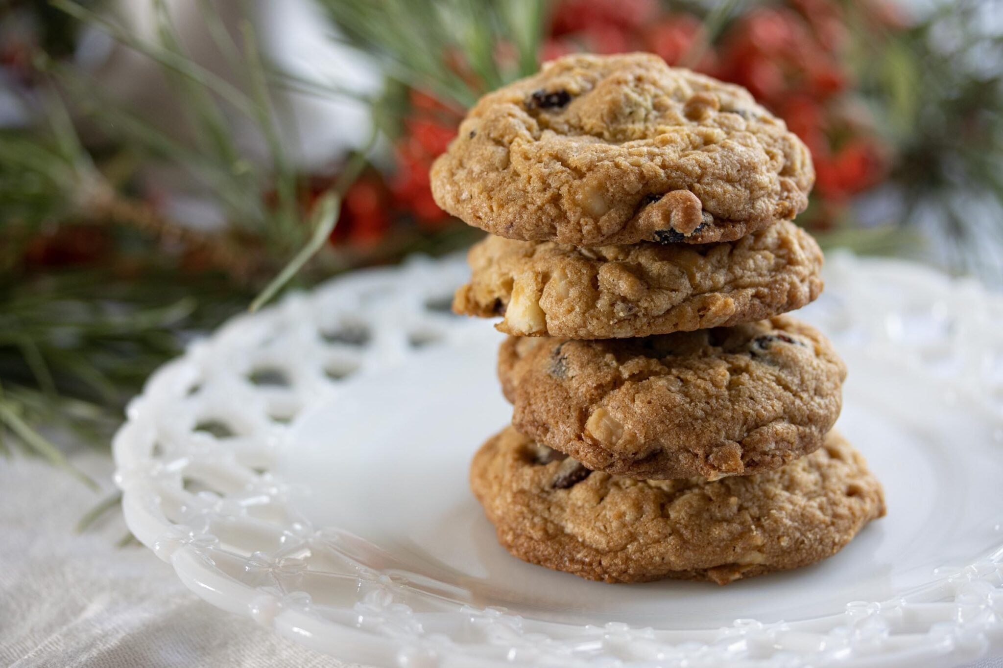 Dried Cranberry Chocolate Cookies - The Best Recipe Ever | Giangi's Kitchen