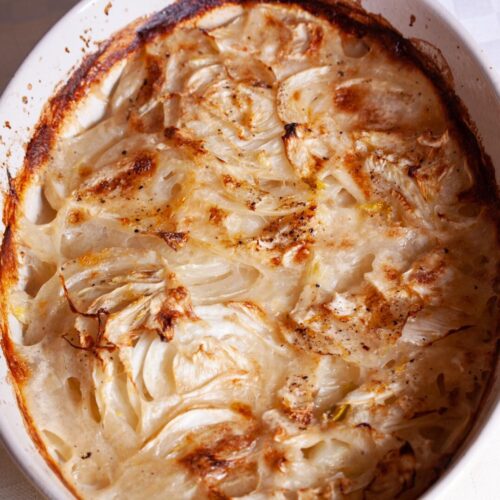 Fennel Gratin with Coconut Milk | Giangi's Kitchen